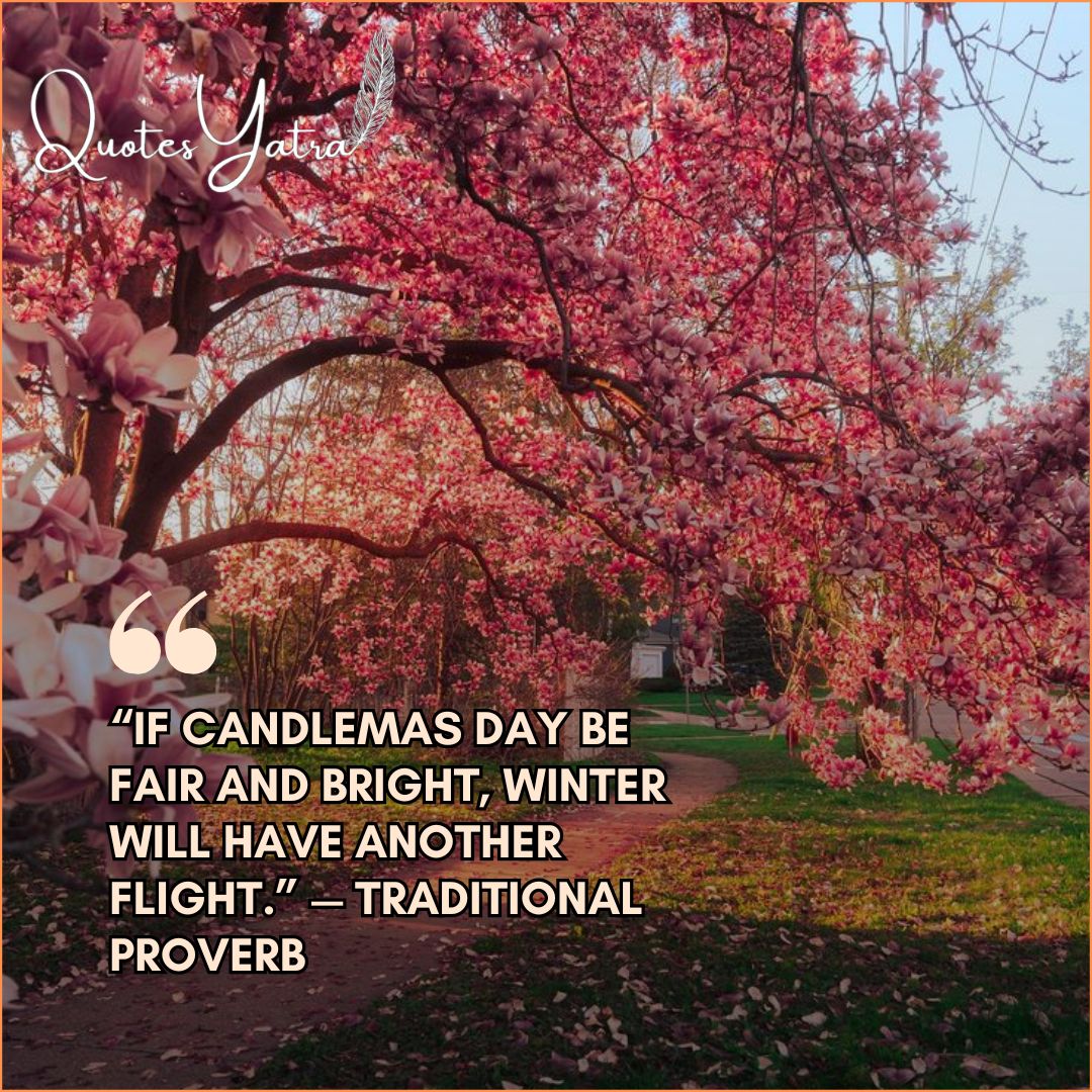 145+ February Quotes 2026: Rare, Short & Deep Captions