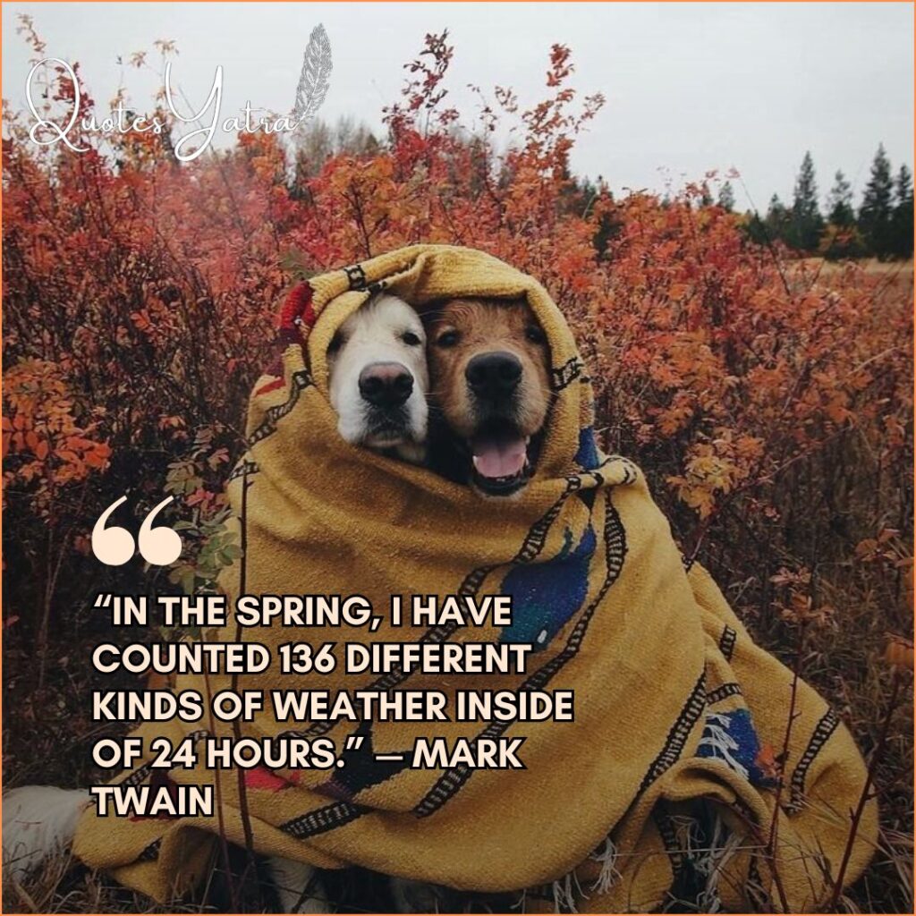 Top 115+ Quotes About the End of Winter: Welcoming Spring